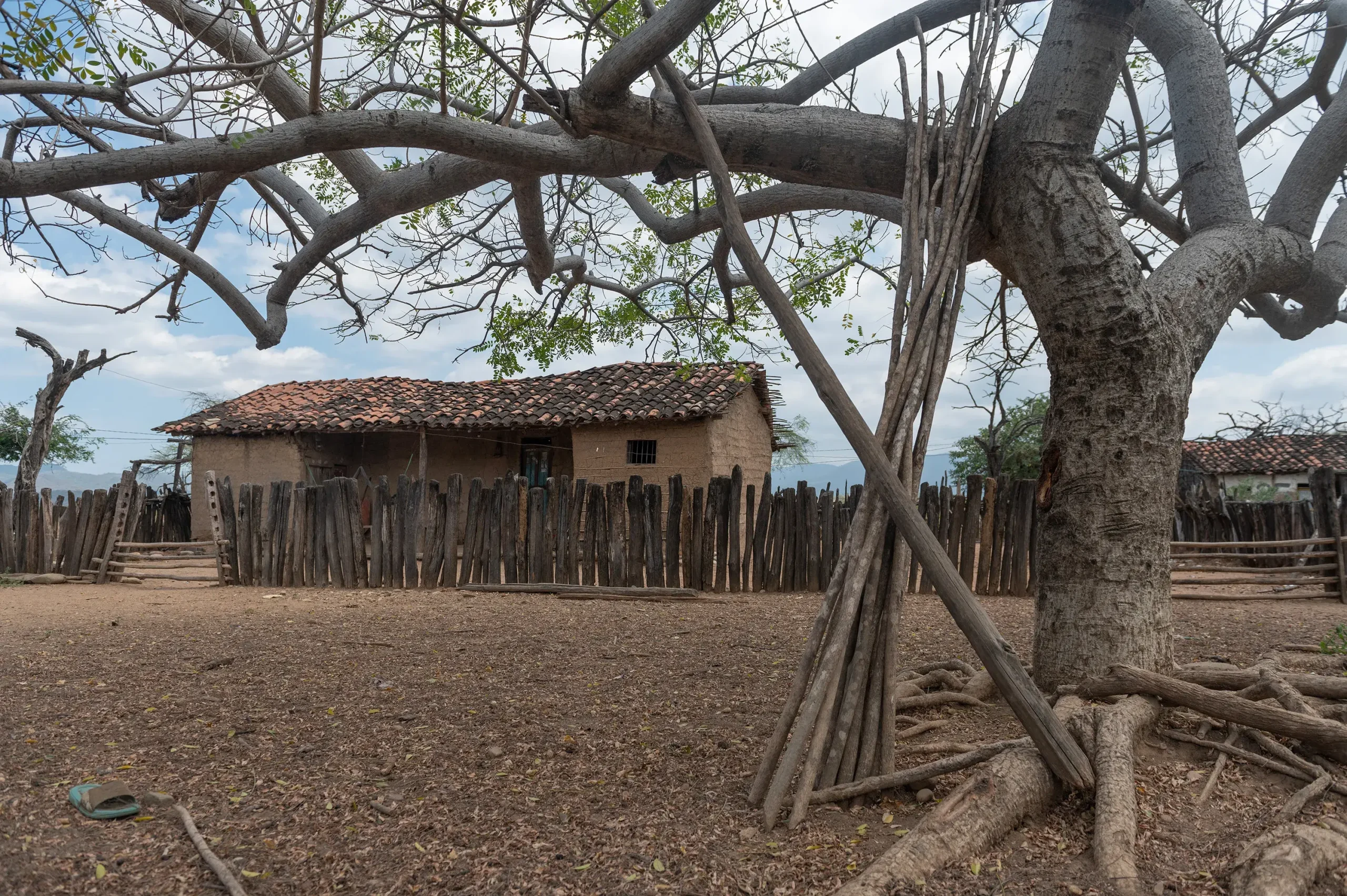 El Bosque Seco de Zapotillo: un destino donde turismo y ciencia se fusionan